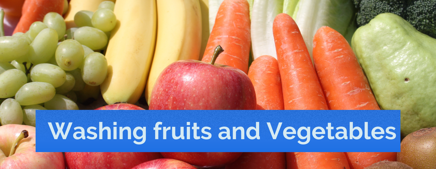 Washing Fruits and Vegetable Worksheet - Yahweh Virtual University